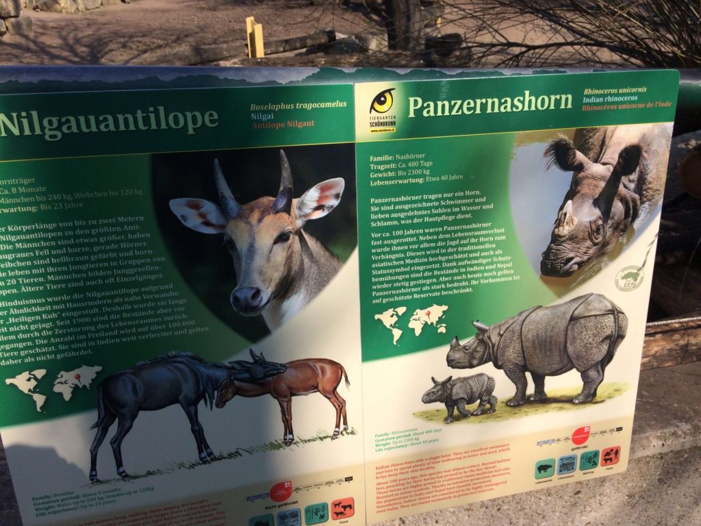 Ein Tag im Tiergarten - Wien Tag 4 - hometravelz